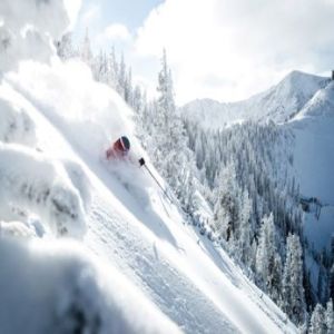 Snowbird Lift Ticket Discounts